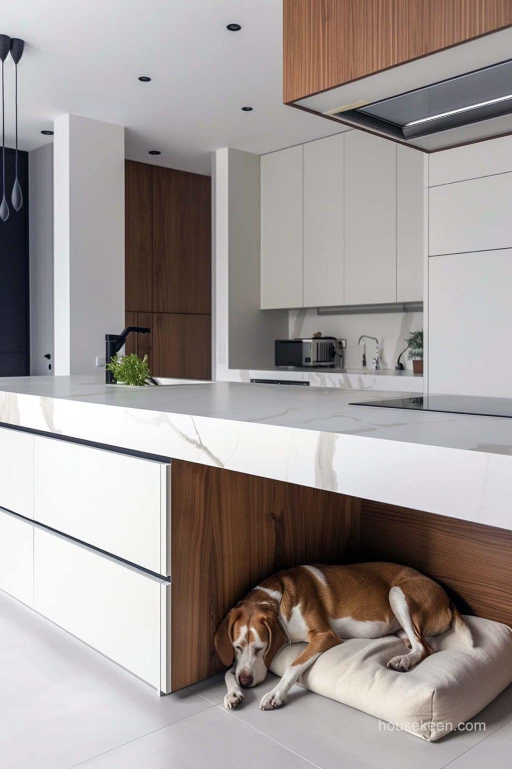13 Kitchen Ideas With Built-In Dog Rooms (Concepts)